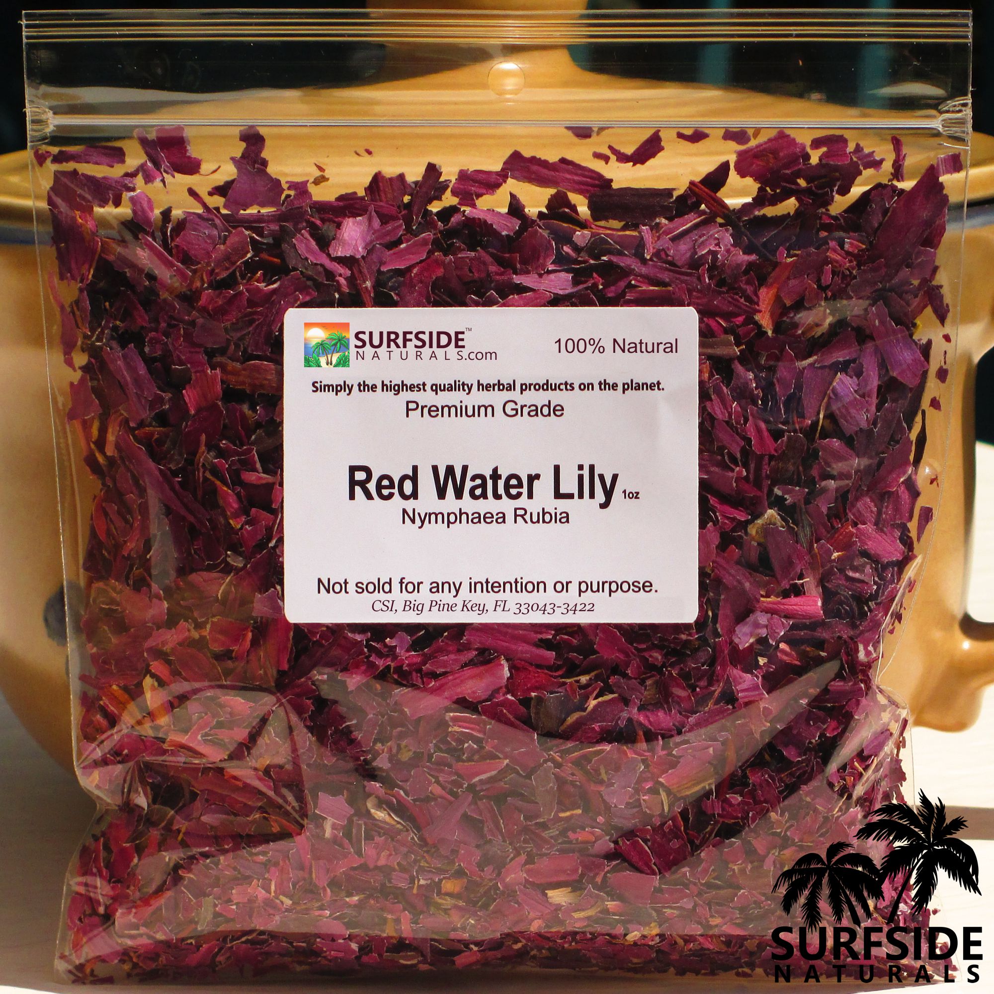 Red Lotus | Pure Flower | Petals & Stamens | Nymphaea Rubra – Surfside ...