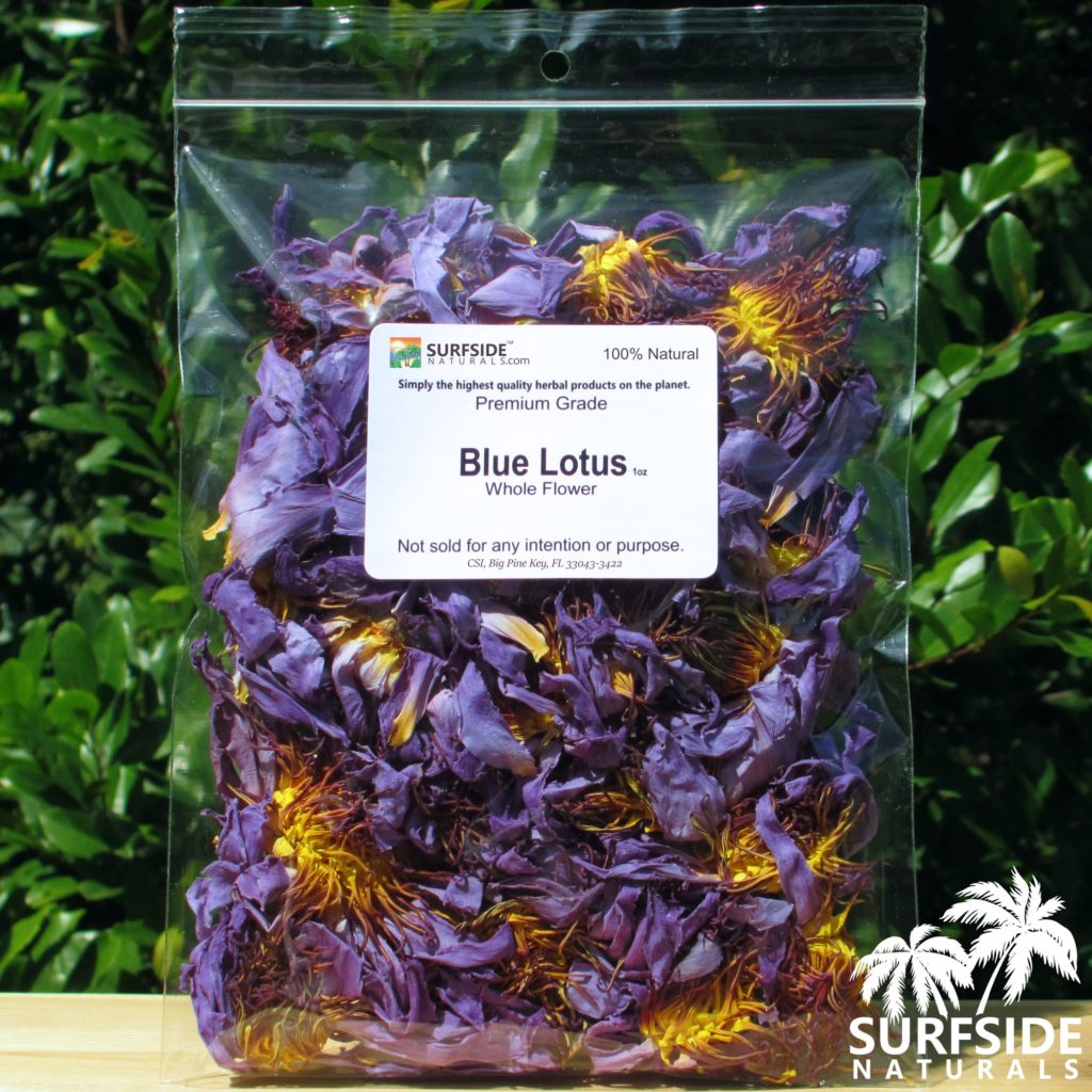 Real Blue Lotus | Whole Flower – Surfside Naturals