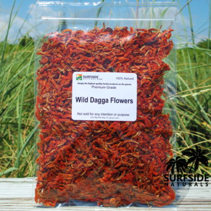 Wild Dagga Flowers | Leonotis Leonurus – Surfside Naturals