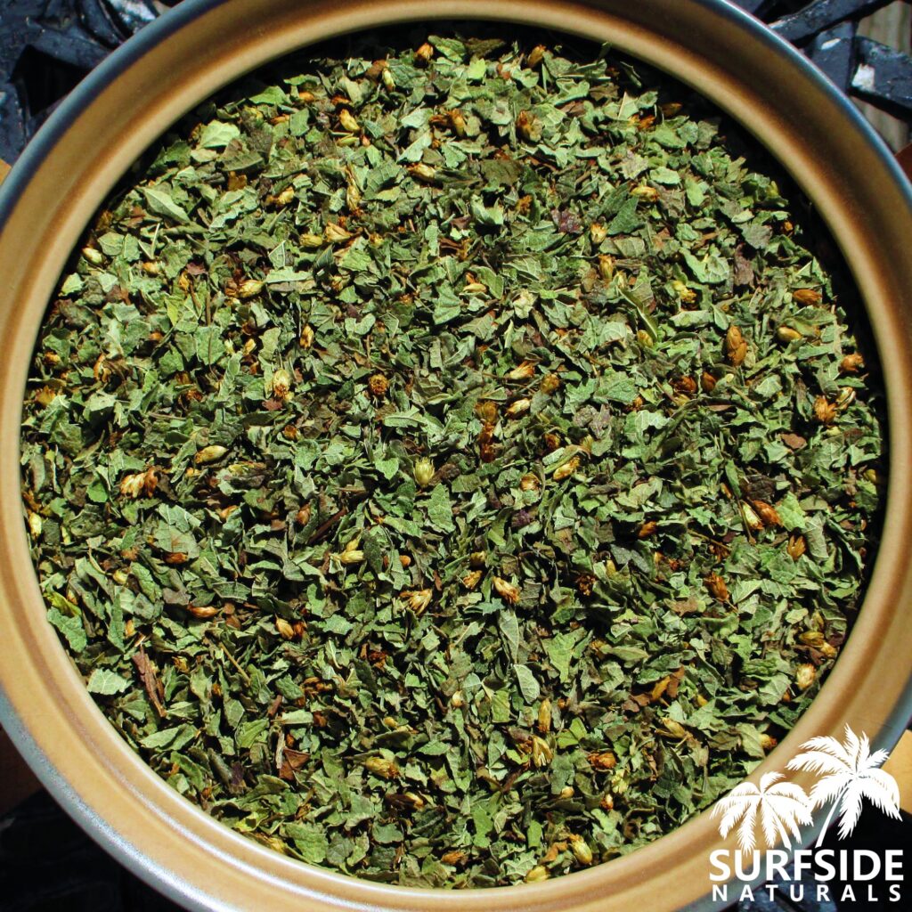 Calea Zacatechichi | Mexican Dream Herb – Surfside Naturals